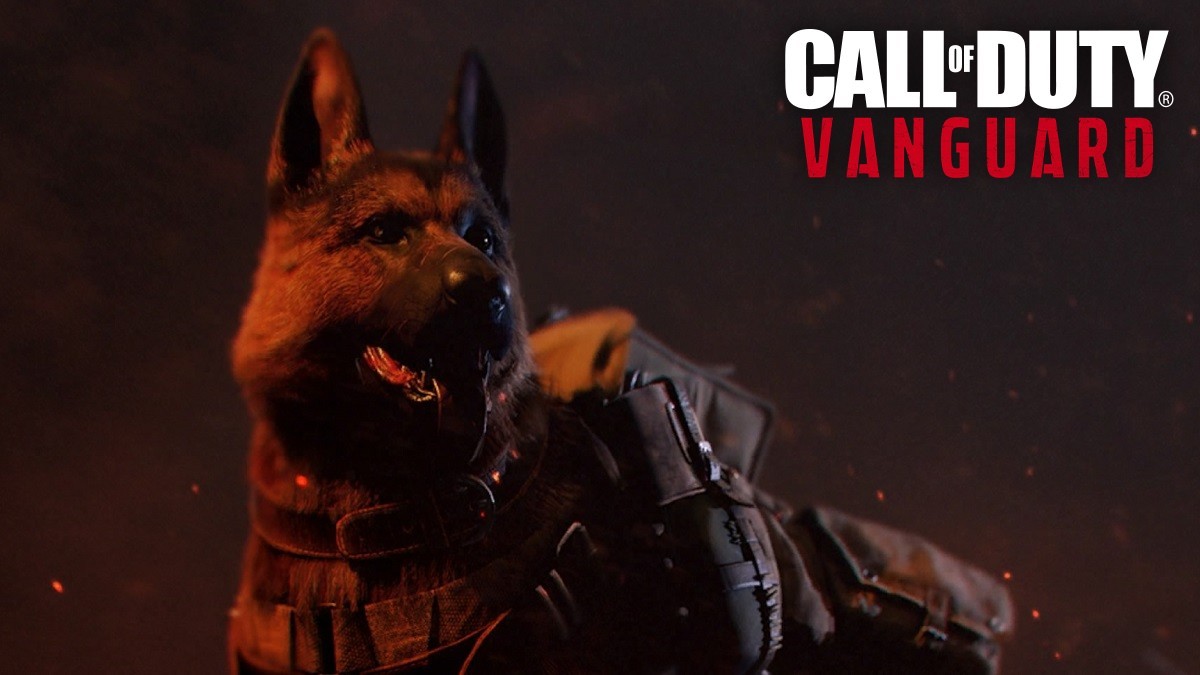COD Vanguard: el divertido pero desesperante bug que están teniendo los ...