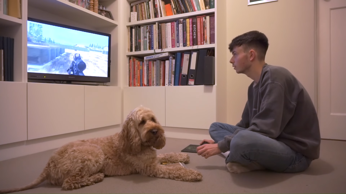 Warzone: Un perro 'aprende' a jugar al juego, y quizás mate más que tú ...