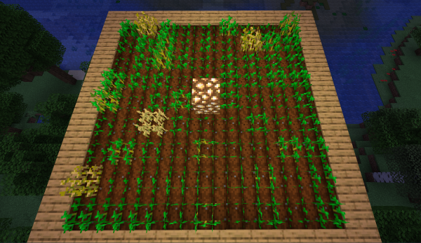 Granja De Trigo Eficiente De Minecraft Guía De Minecraft: Granja