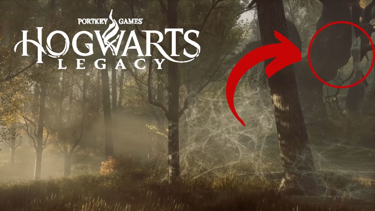 Hogwarts Legacy: La aterradora imagen que no viste del último tráiler del juego - Millenium