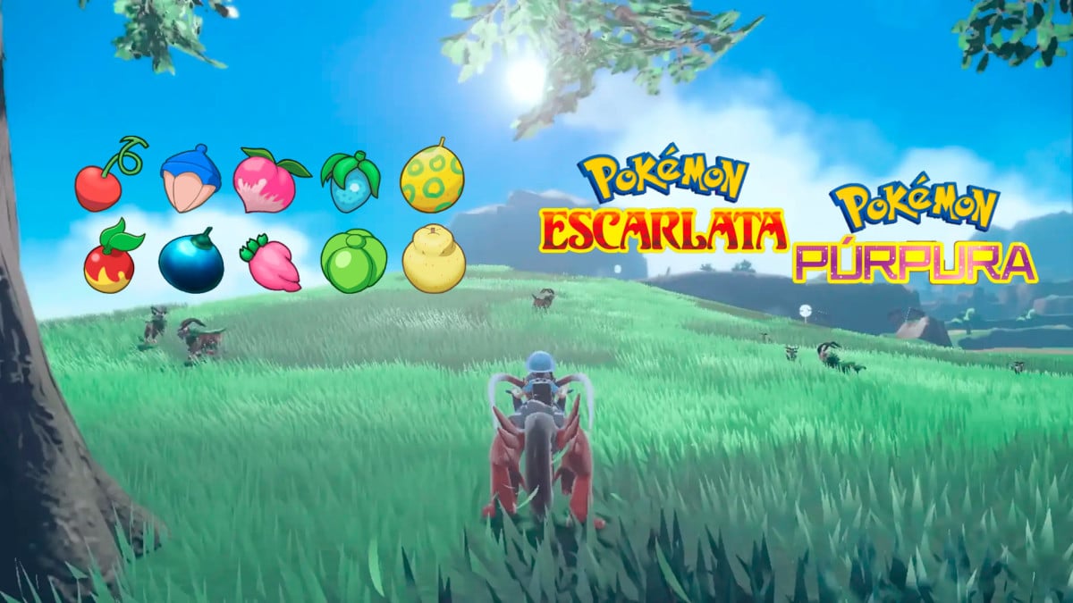 Pokémon Escarlata y Púrpura - Bayas: Lista completa y ubicación de ...