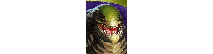 Raid Shadow Legends: tierlist de héroes nat 3, lista de los mejores ...