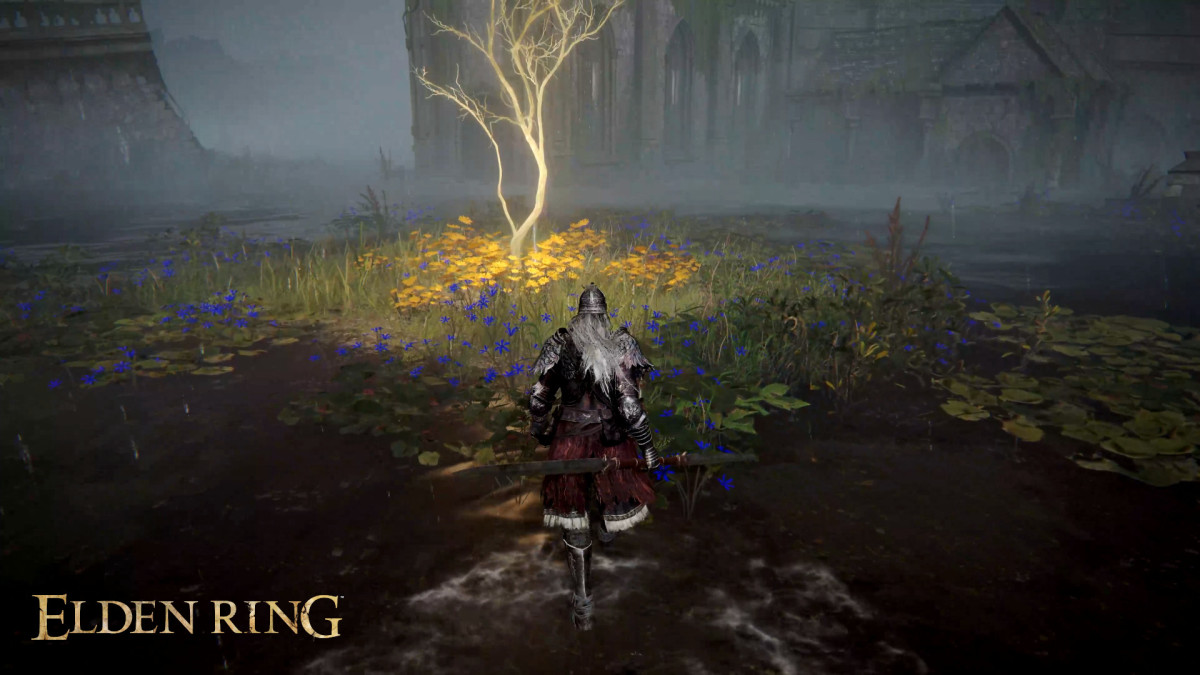 Elden Ring - Semilla Dorada: Guía para encontrar este ítem y conseguir ...
